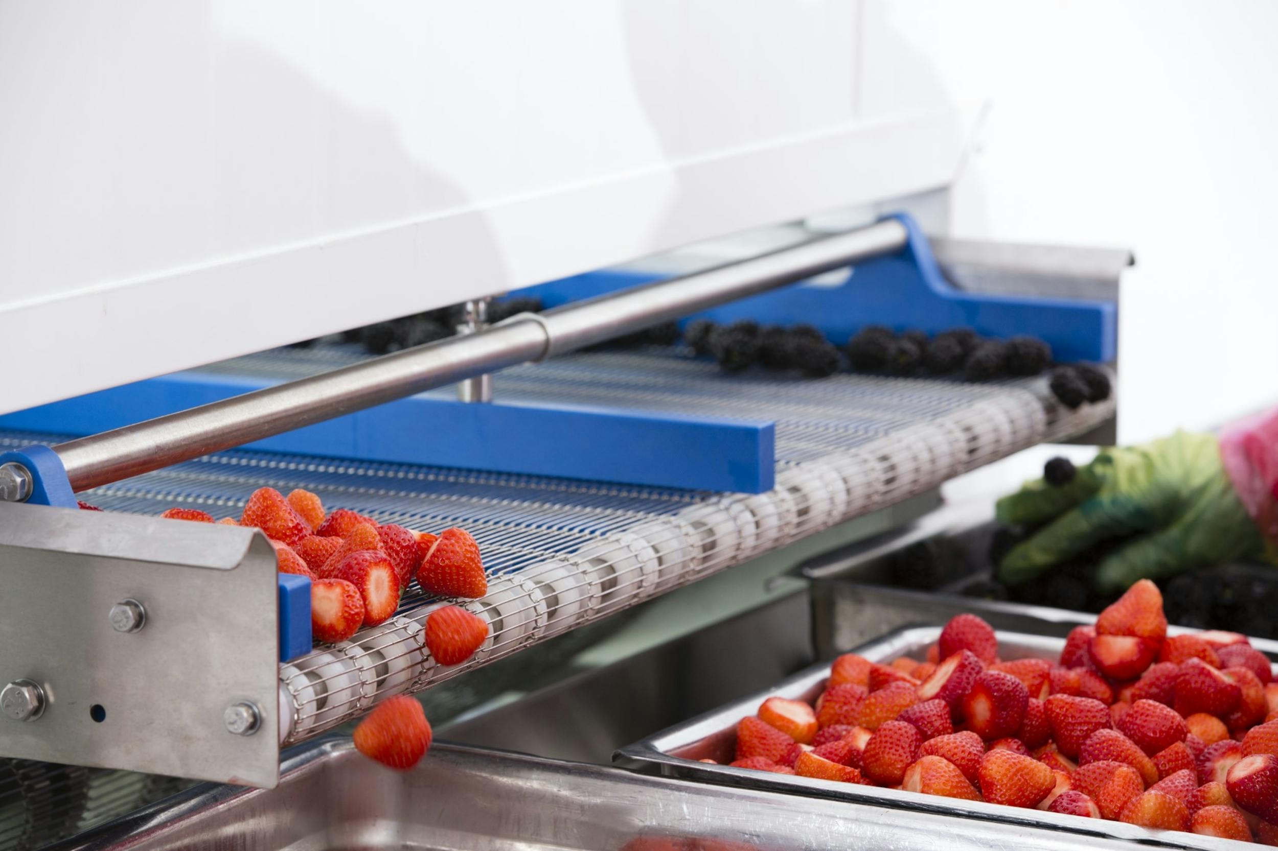 Prepared Fruit Production Facilities - PrepWorld