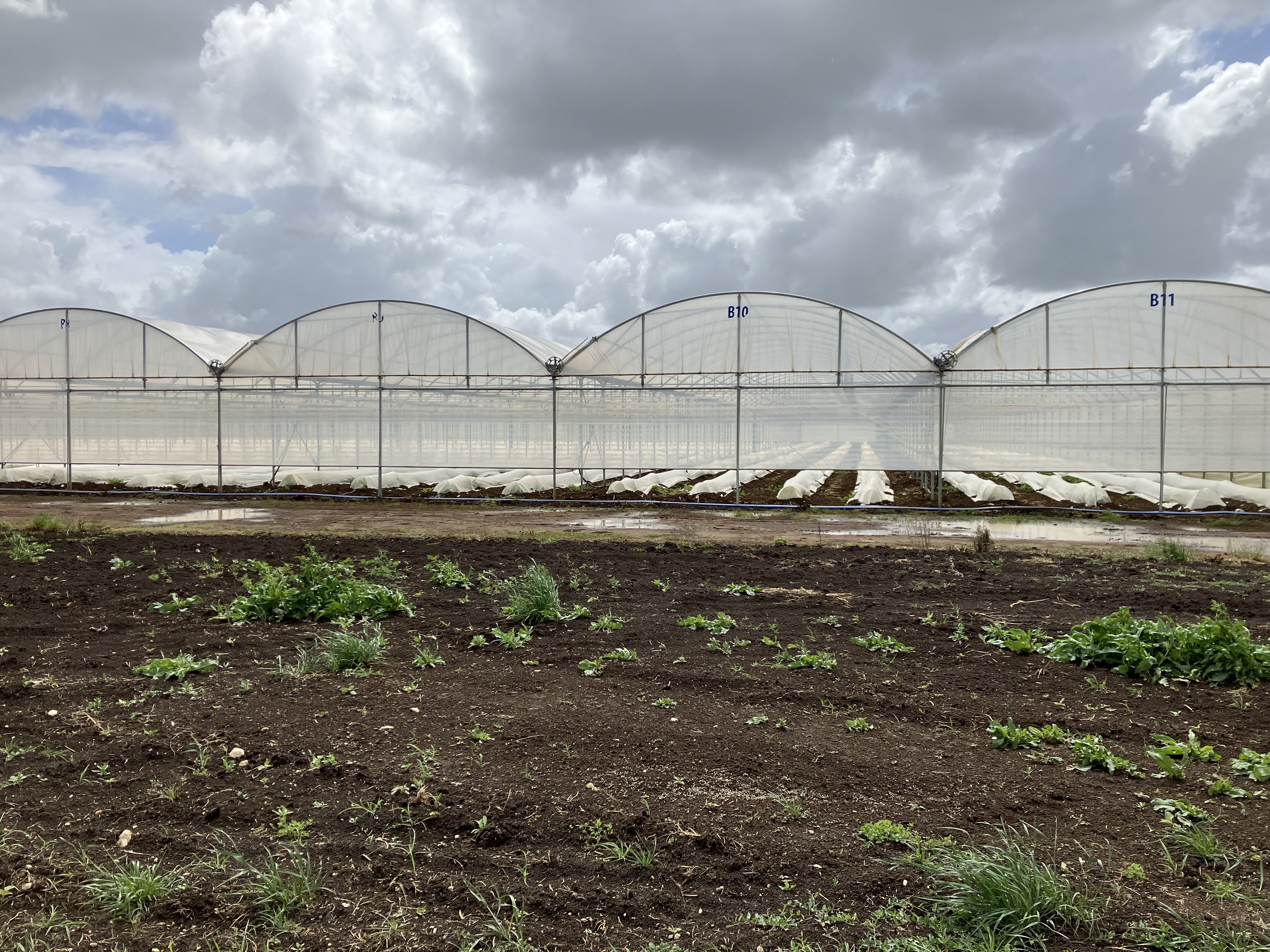 PrepWorld | From fresh in the field to fresh filled pots